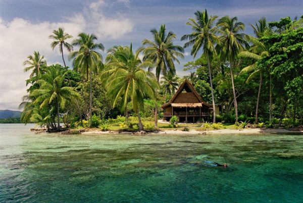 Uepi Island Resort - Reef and Rainforest